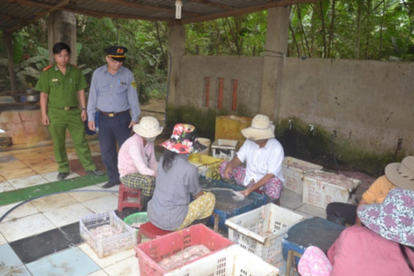 Công bố quyết định thanh tra môi trường hơn 30 doanh nghiệp